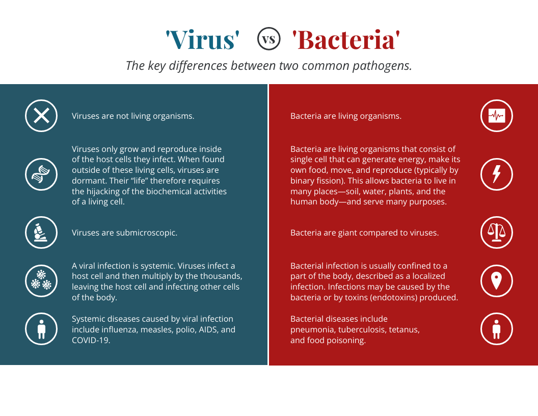 Portfolio - Appleyard Writing